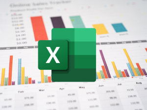 Microsoft Excel Intermediate Level - MIS Academy